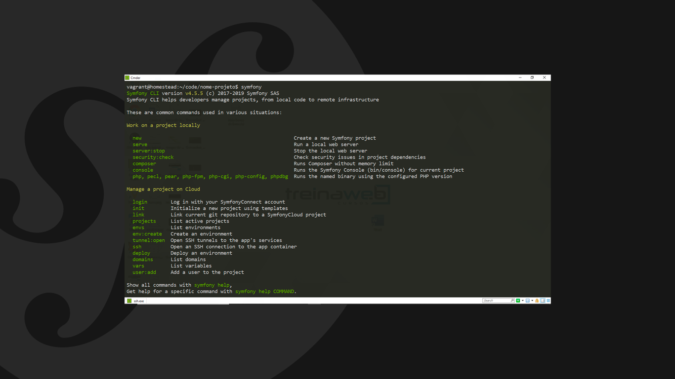 Principais Comandos Do Symfony Cli Blog Da Treinaweb